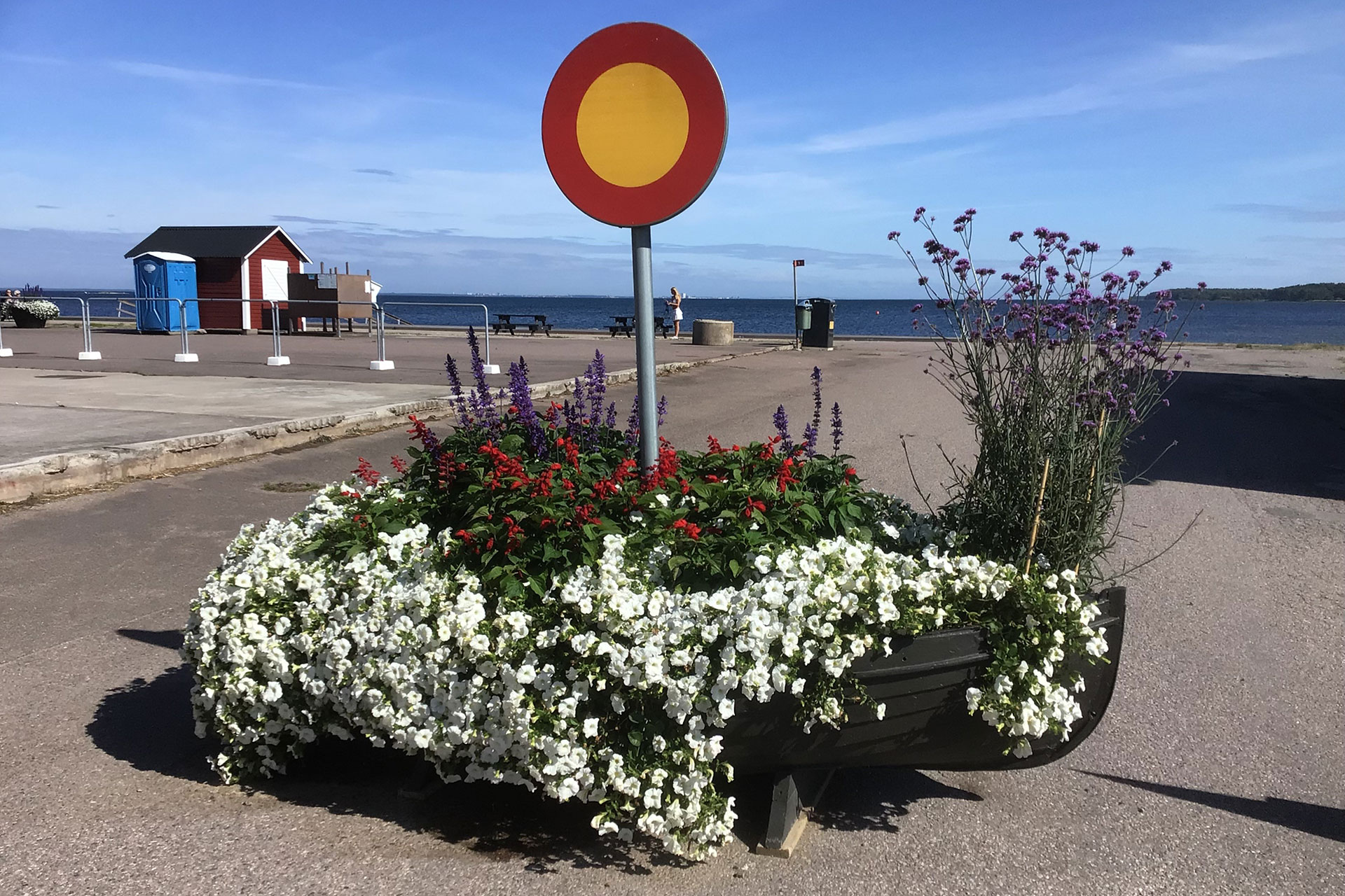 Vad växer i våra blomkrukor? - Mörbylånga kommun
